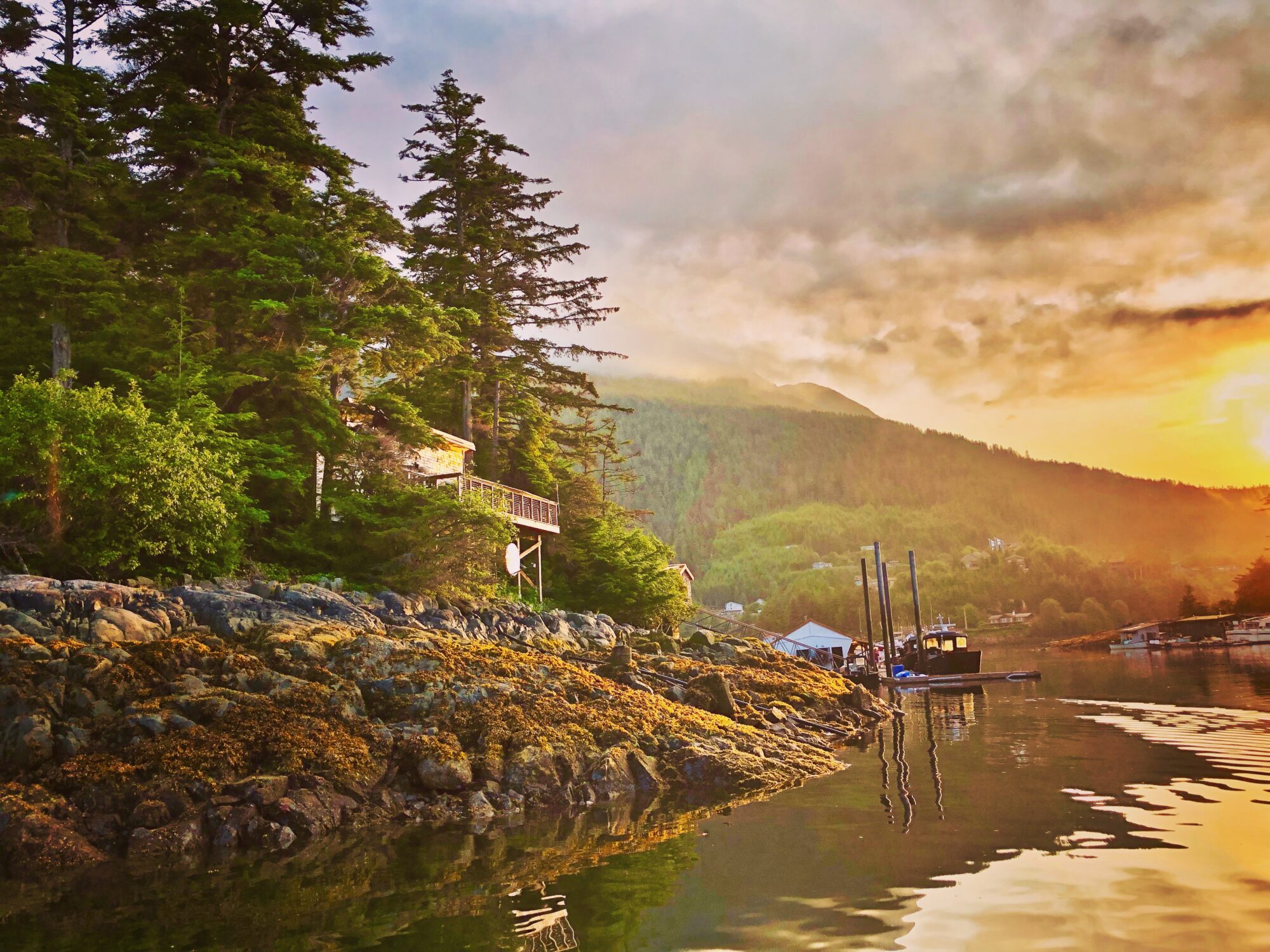 Luxury Lodge - Dove Island Lodge